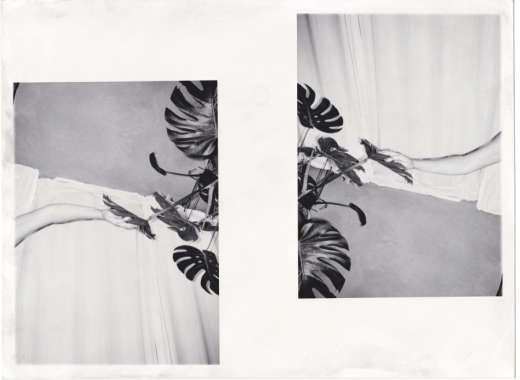 Thomas Vandenberghe - in camera