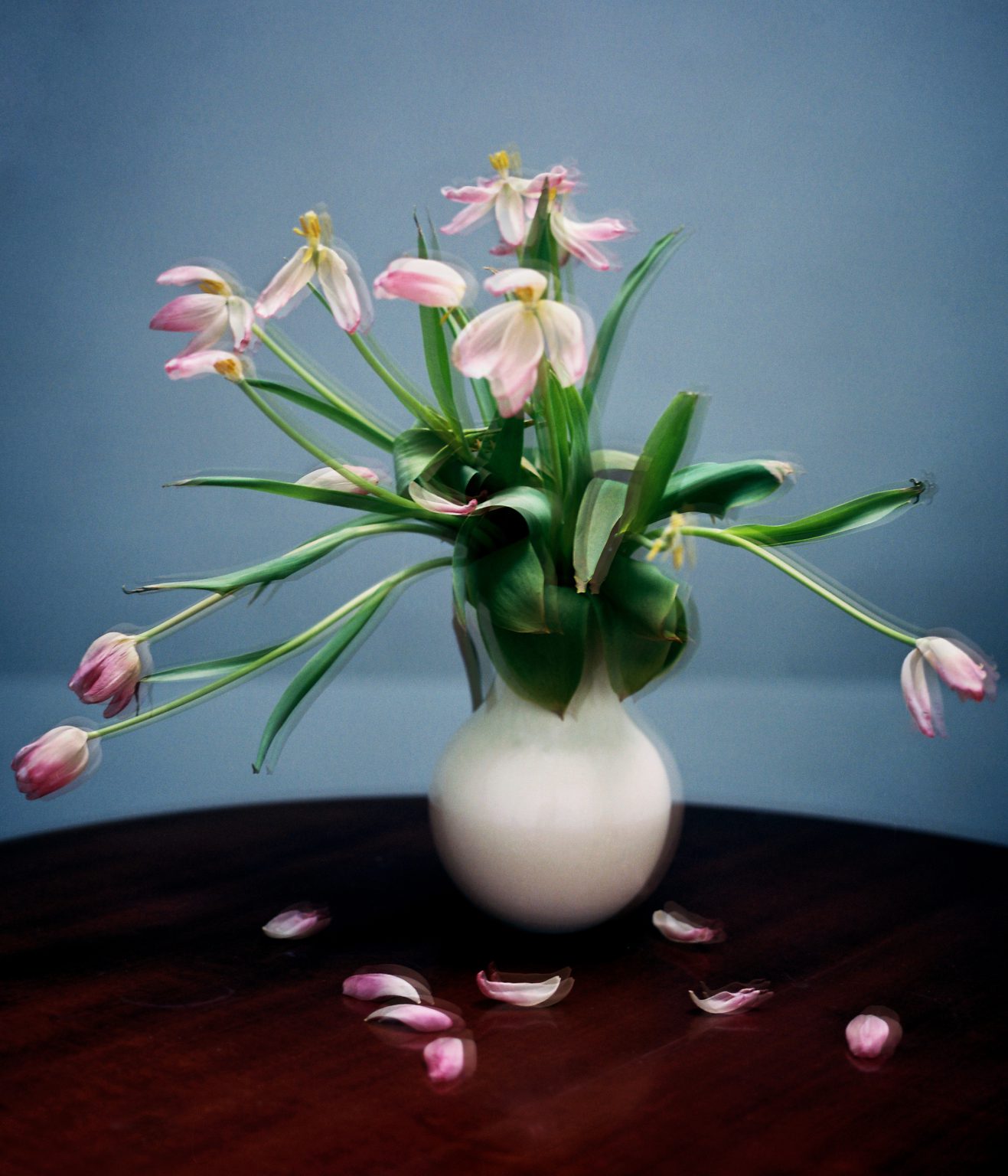 Thomas Vandenberghe - in camera